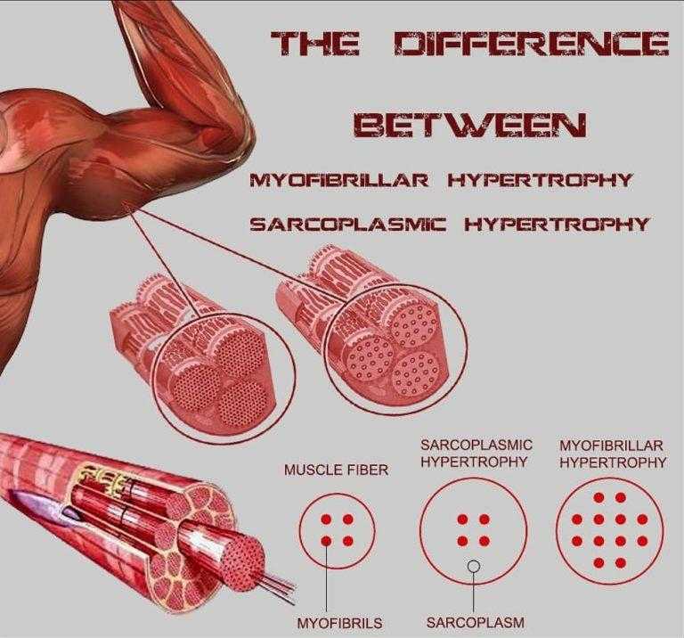 La meilleure méthode pour prendre du muscle - La Méthode Street